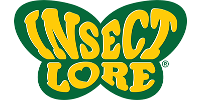 Collections Insect Lore