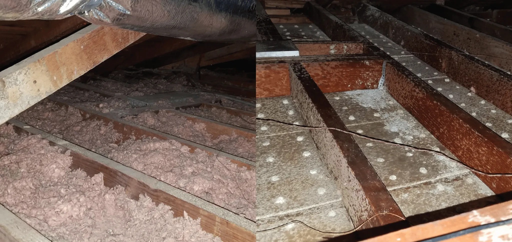 Attic Cleaning – Attic Insulation Labs