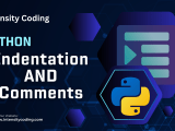 Indentation And Comments In Python Intensity Coding