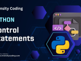 Python Control Statements Intensity Coding