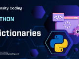 Python Intensity Coding