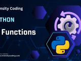 Python Functions Intensity Coding
