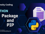 Python Intensity Coding
