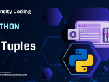Python Tuples Intensity Coding