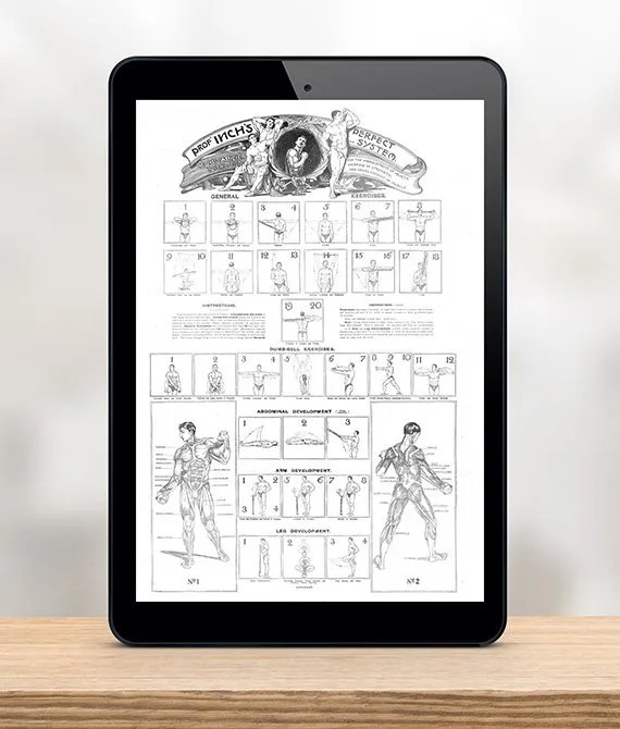 Thomas Inch Strongman Bundle - Internal Force Fitness