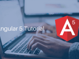 Angular Tutorial Getting Started With The Angular Cli Software