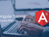 Angular Module Tutorial Application Structure Using Modules