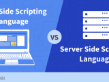 Difference Between Client Side Scripting And Server Side Scripting