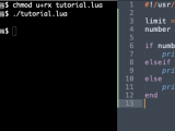 Learn Lua Lua Tutorial With The Basics Of The Script Language Ionos Ca