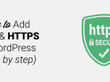 How To Add Ssl And Https In Wordpress Step By Step