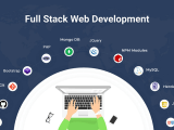 Web Application Development Full Stack Developer Itpt