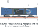 Get The Best Computer Programming Assignment Help Online
