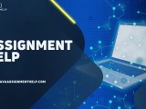 It Assignment Help It Assignment Writing Services