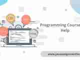 24 7 Programming Coursework Help 30 Off Chat Now