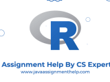 Order R Assignment Help At 30 Discount Limited Time Deal
