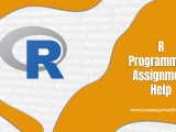 Get R Programming Assignment Help 30 Off From Experts