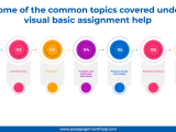 Visual Basic Assignment Help Visual Basic Homework Help
