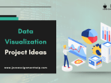 Top 17 Data Visualization Project Ideas For Students 2024
