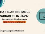 What Is An Instance Variables In Java