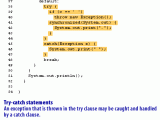 Java Statements Assignment Loops Case