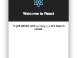 2 Sample Apps Using Create React App