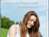 Javaskool Swing Java Foundation Classes