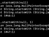 Java String Startswith Method Examples