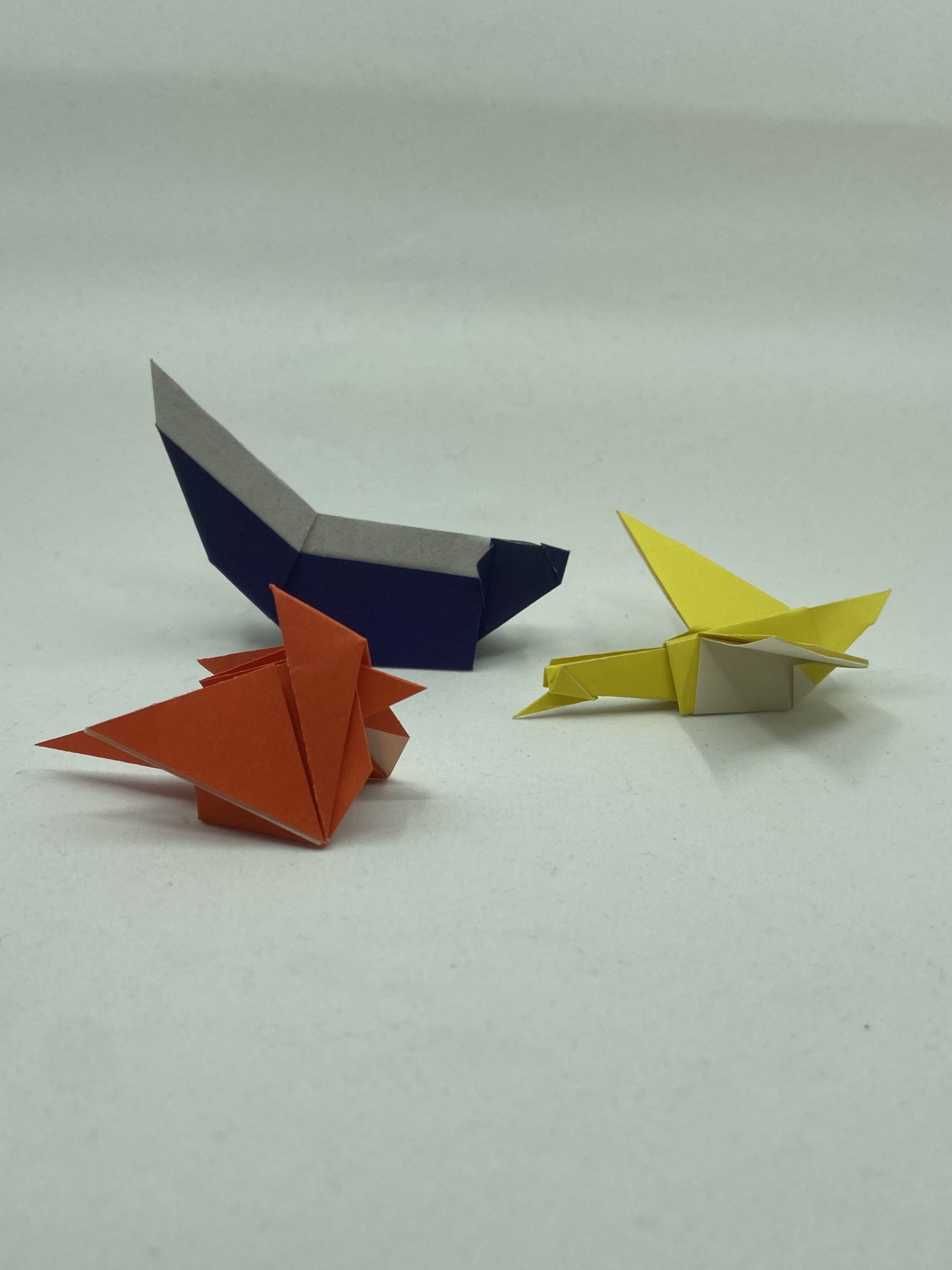 Origami Photos – Jeff Raab