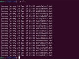 Linux Ls Command
