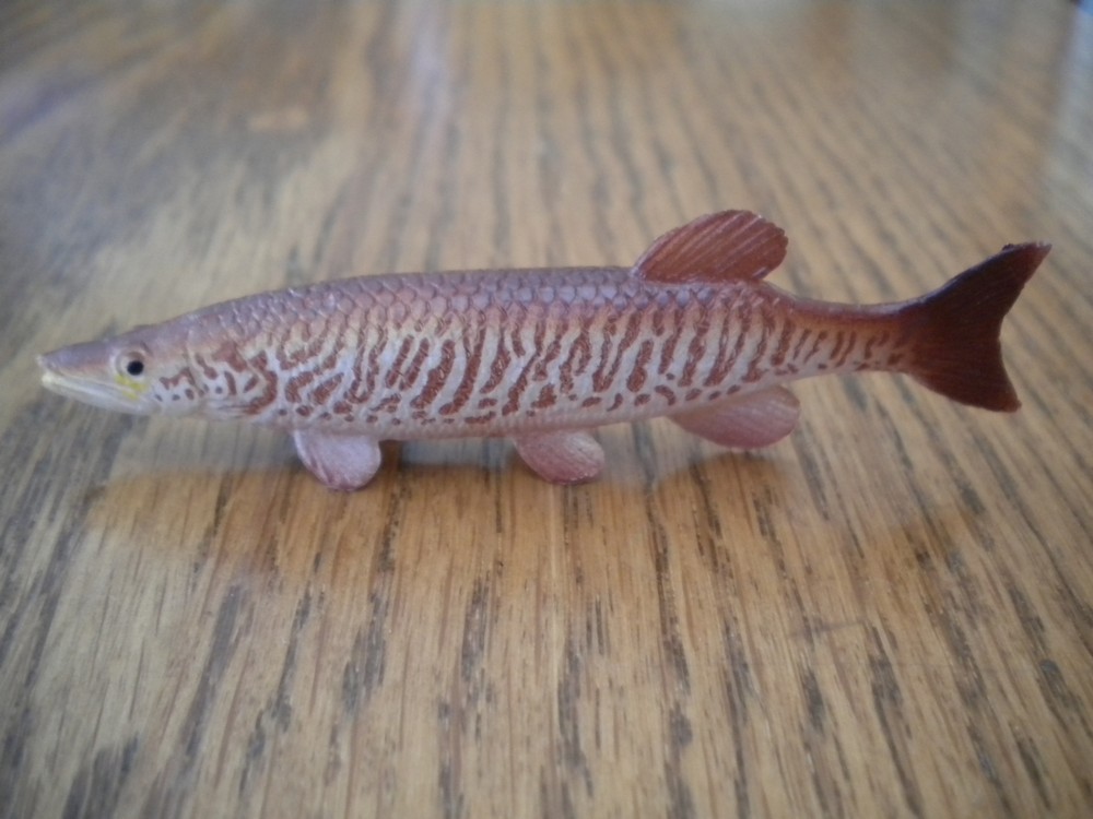 Journal of a Minnesota Angler » Blog Archive Review : Replica Toy Fish ...