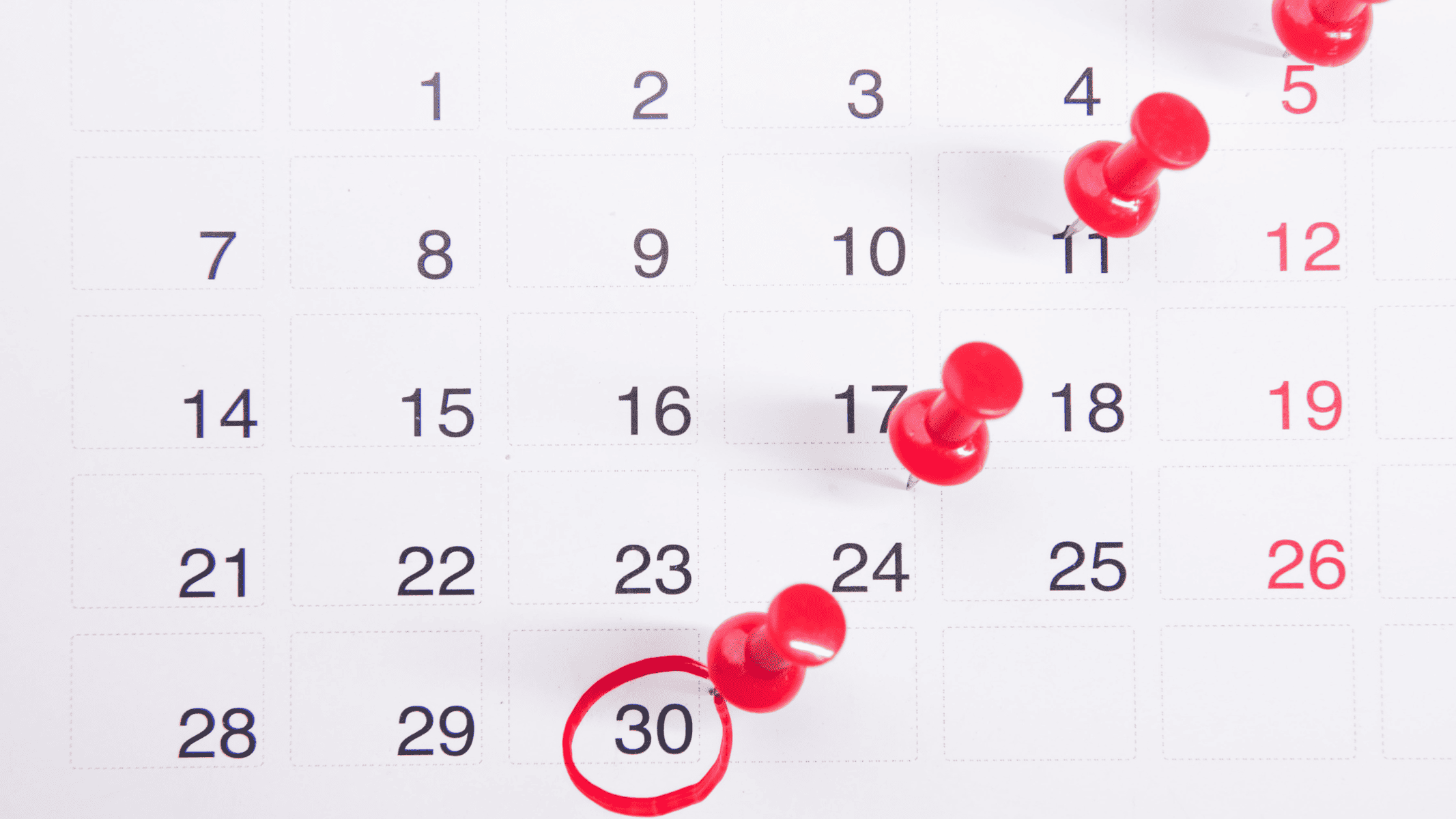 How To Calculate Pregnancy Weeks After IVF Journey For Jasmine how-to-calculate-pregnancy-weeks-after-ivf-journey-for-jasmine