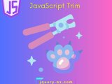 Learn Javascript Trim Method To Remove Space