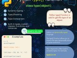 Python Type Function Check Object Variable Types