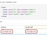 Customizable Jquery Client Side Validation Plugin Verify Js Free