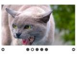 Basic Responsive Image Slideshow Plugin For Jquery Free Jquery Plugins