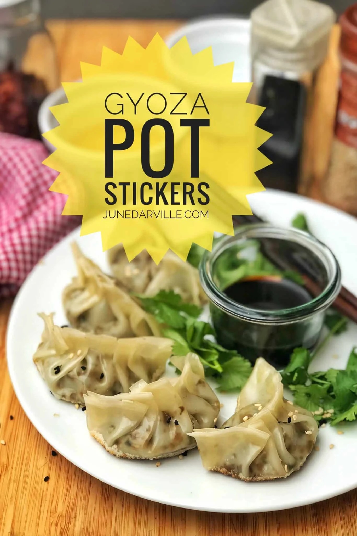 How To Fold Gyoza: Easy step by step! | Simple. Tasty. Good.