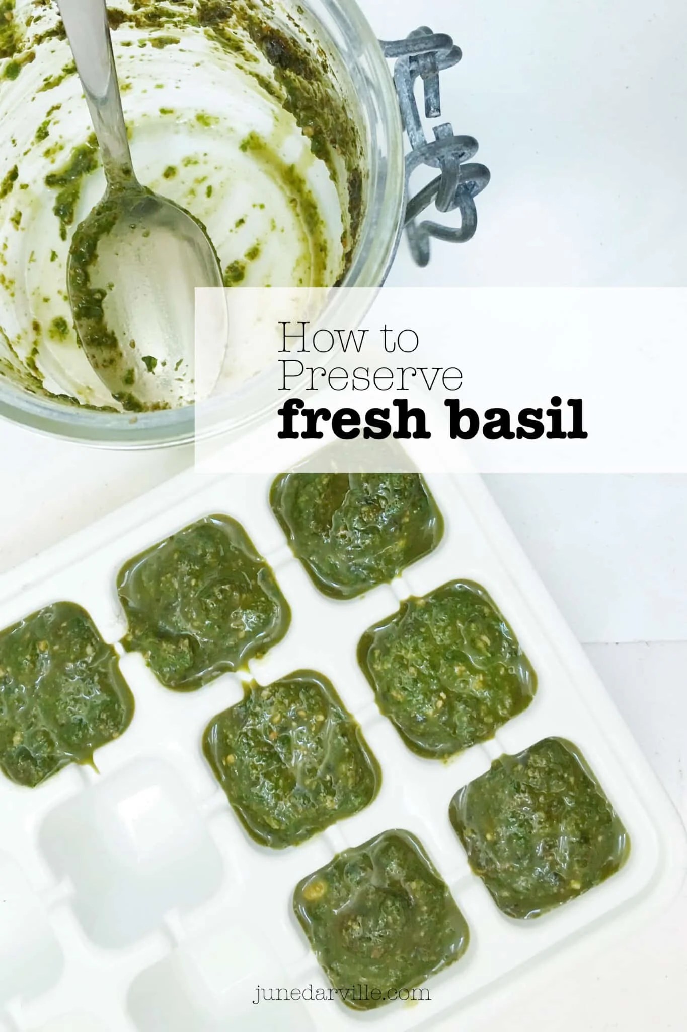 Preserving Basil All Year Long Best | Simple. Tasty. Good.
