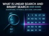 Linear Search And Binary Search Algorithms Python Java 2025