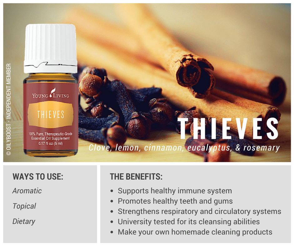 What Can I Do with Thieves? – Kathy McDaniel