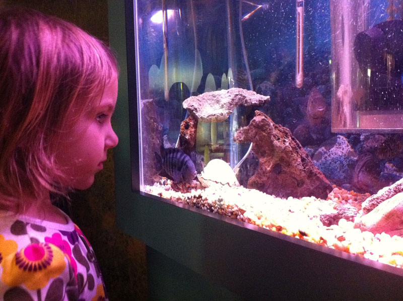 Hands-On at the Maryland Science Center | KidFriendly DC