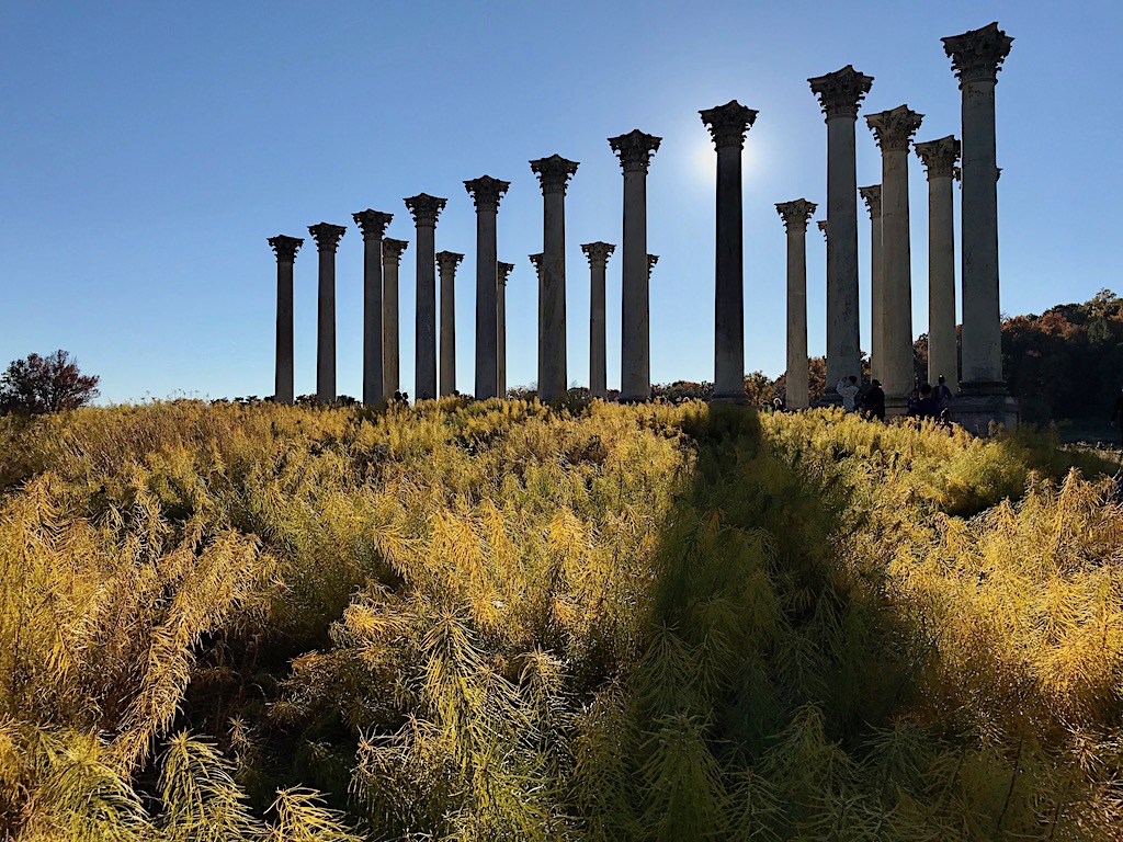 Scenes from a Beautiful Fall Day at the U.S. National Arboretum ...