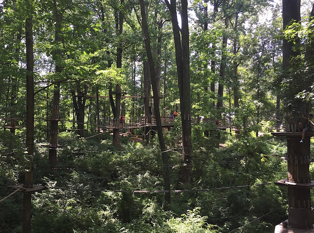 Where to Play on the Weekdays: August 12-16 | KidFriendly DC