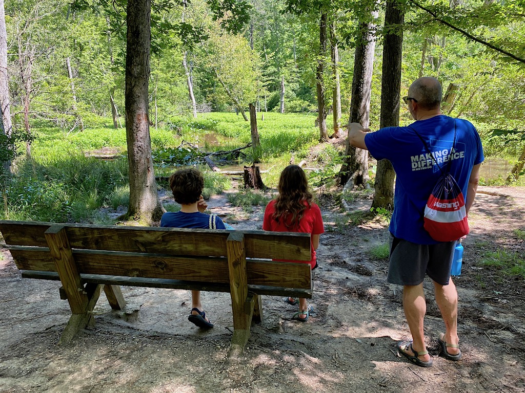 Hiking, Beaching, & a Little Fossil Hunting at Calvert Cliffs State ...