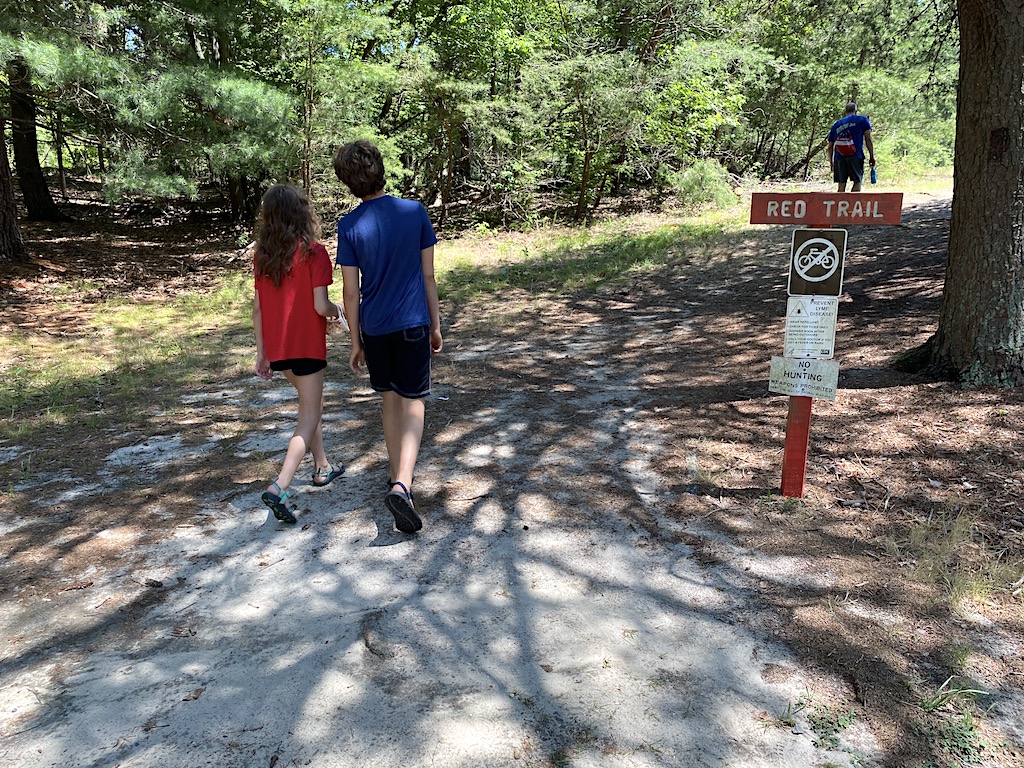 Hiking, Beaching, & a Little Fossil Hunting at Calvert Cliffs State ...