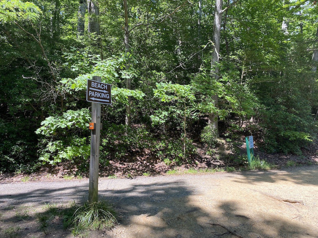 Hiking, Beaching, & a Little Fossil Hunting at Calvert Cliffs State ...