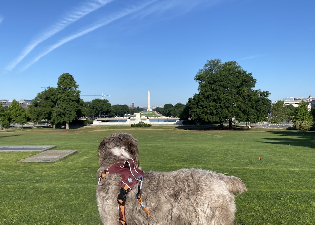 KidFriendly DC | where to go & what to do with kids in the nation's capital
