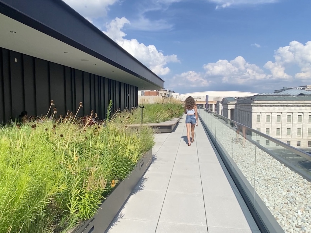 Check It Out: The Martin Luther King, Jr. Memorial Library | KidFriendly DC