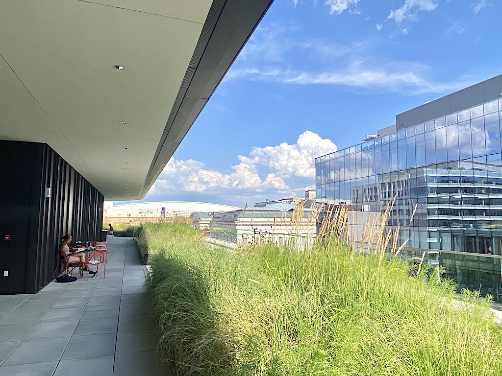 Check It Out: The Martin Luther King, Jr. Memorial Library | KidFriendly DC