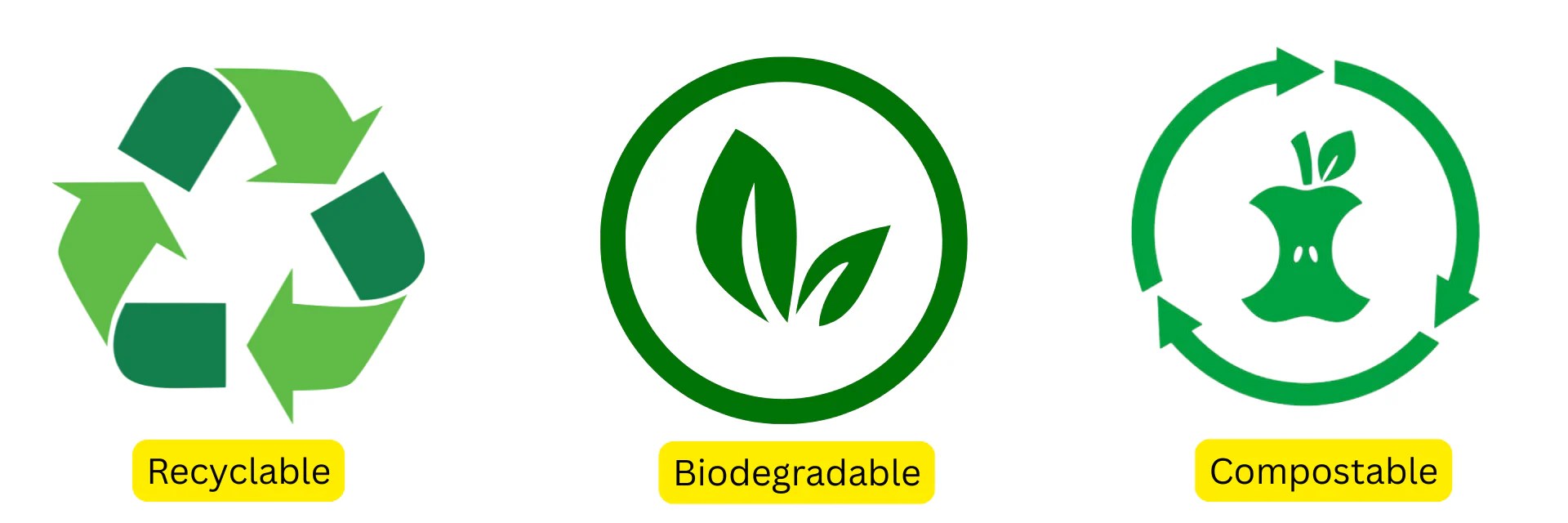 Recyclable Vs Compostable Vs Biodegradable What S The Difference