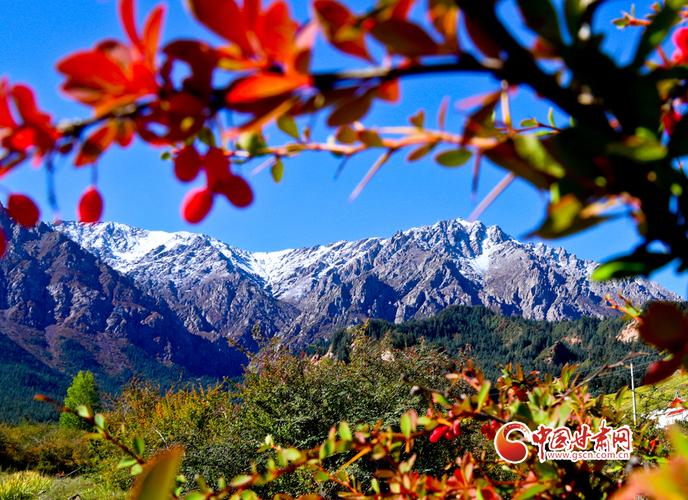 Knowledge Management 101: How to Capture, Store, and Share Organizational Know-How - Knowledge ...